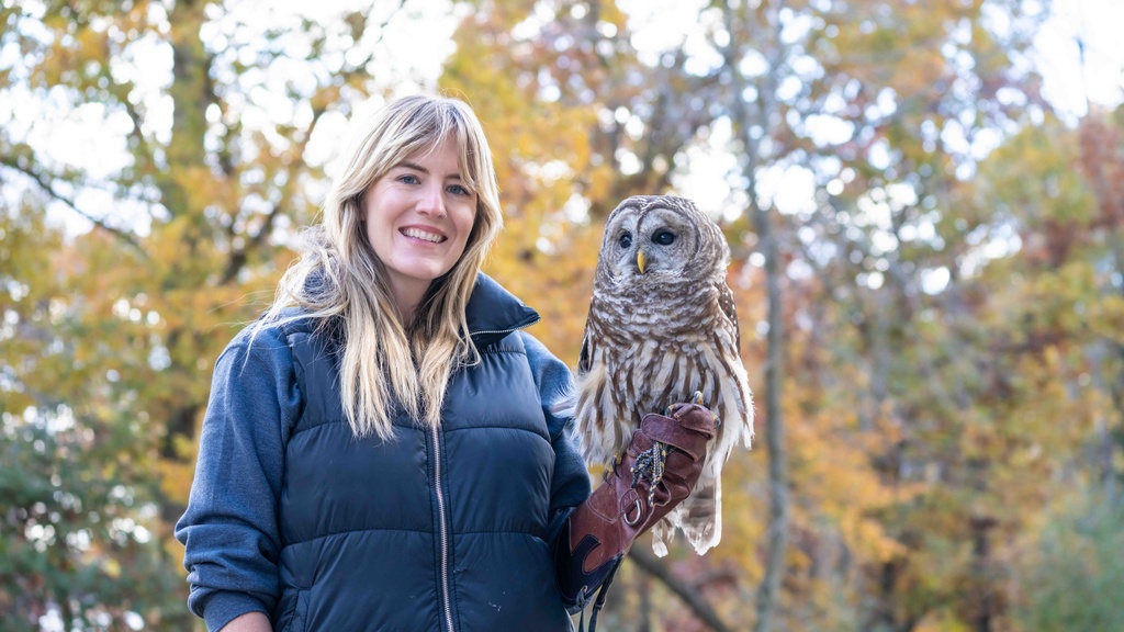 Iowa Raptor Project | UI WILD - College of Education | The University ...